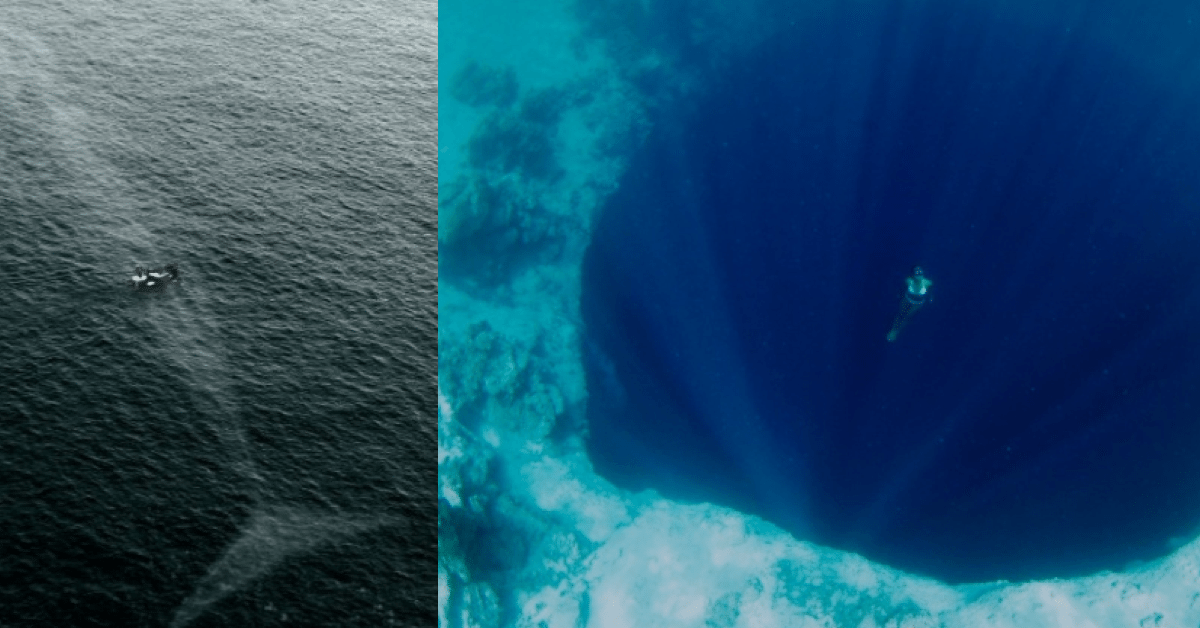 Eye-Opening Photos That Will Make You Think Twice About Going In The ...