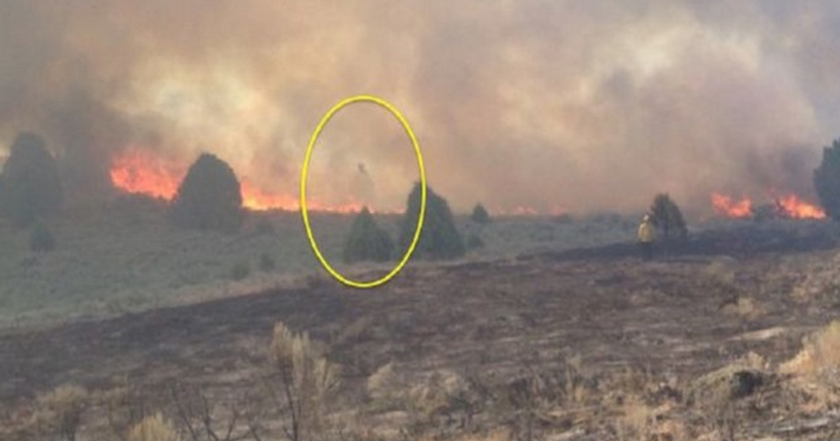 Photo Shows "Jesus" in a Fire Near Families Cabin That Was Spared After ...